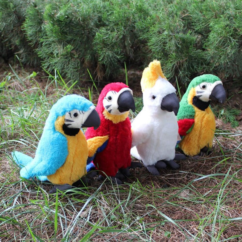 Realistic Parrot Plush – Comfy Morning